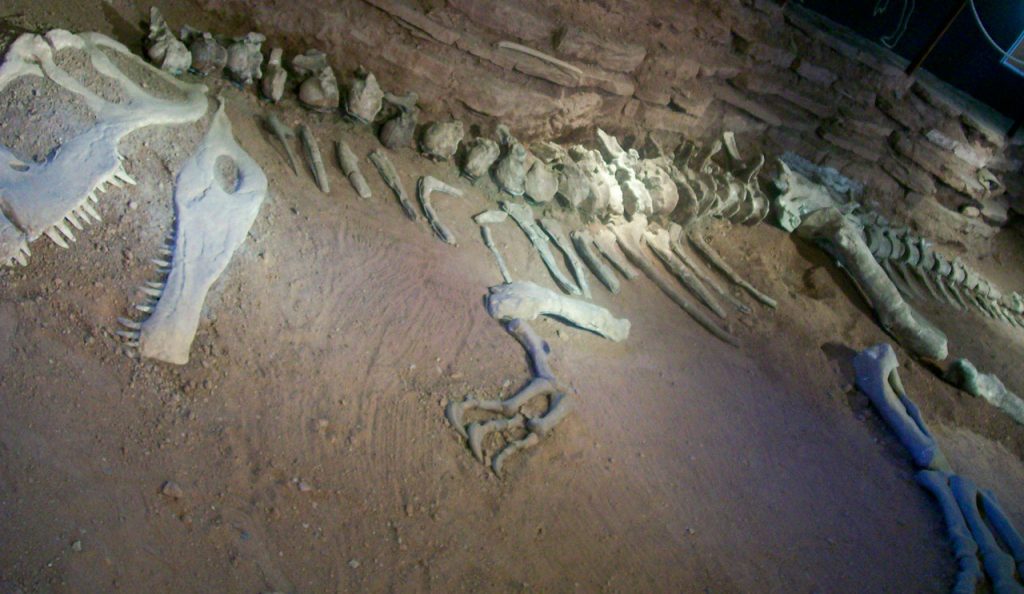 Dinosauriërs en fossielen – Vondsten, musea en wetenschap